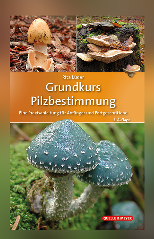 Lüder, GK Pilze – Quelle & Meyer Verlag